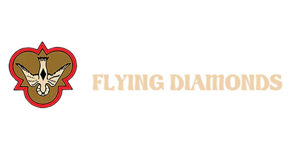 Flying Diamonds Japan - フライングダイアモンド サーフボードフィン - Official web shop ...
